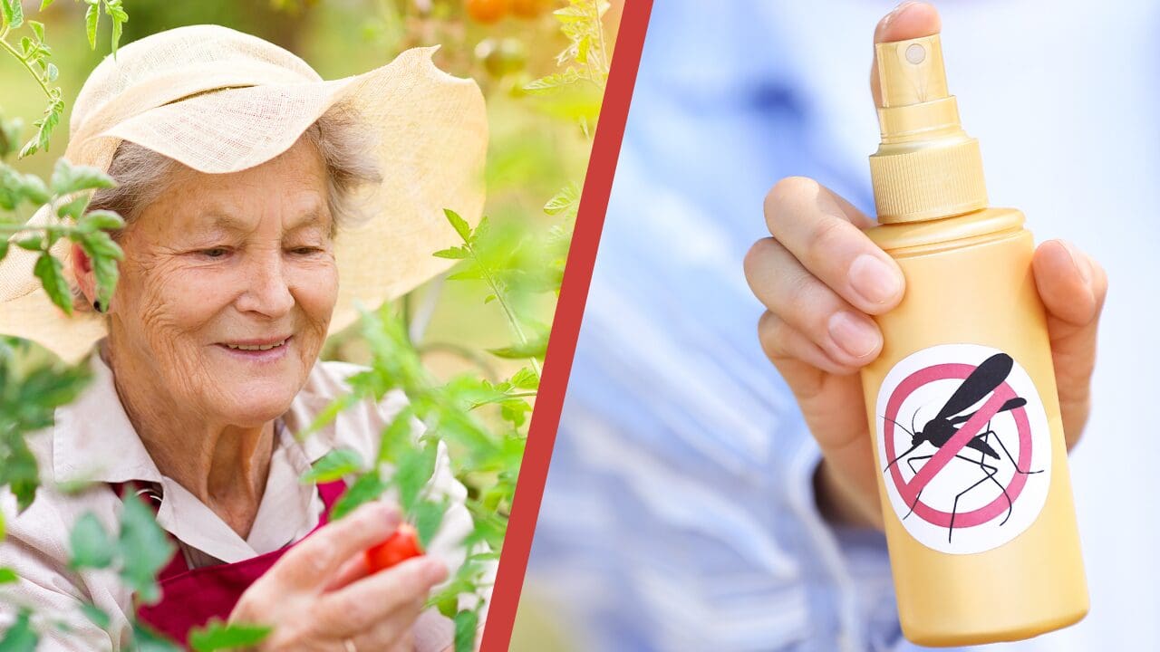 Bug Off! - 7 Essential Oils that Act as Natural Insect Repellents ...